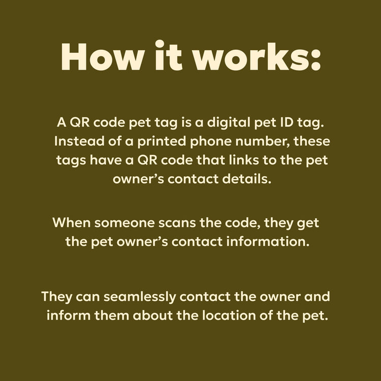 QR Tag — Design Your Own Pet Tag – Besties