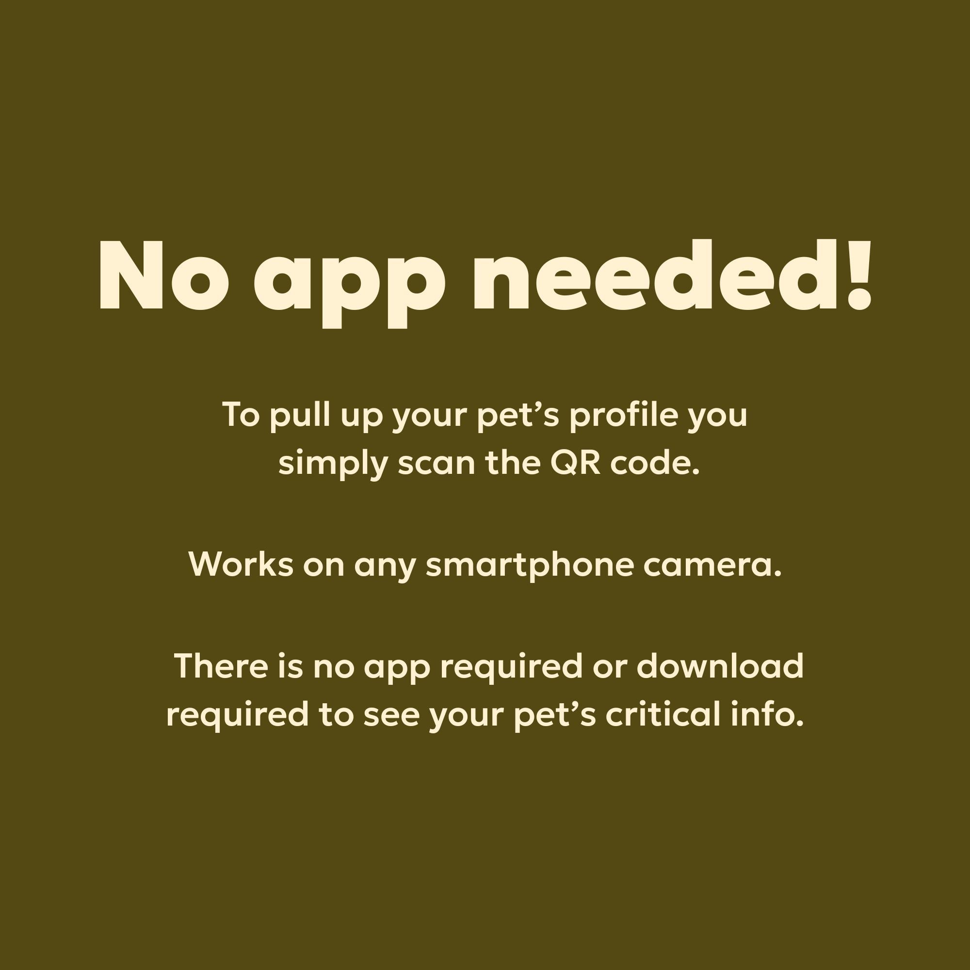 QR Tag — Design Your Own Pet Tag – Besties