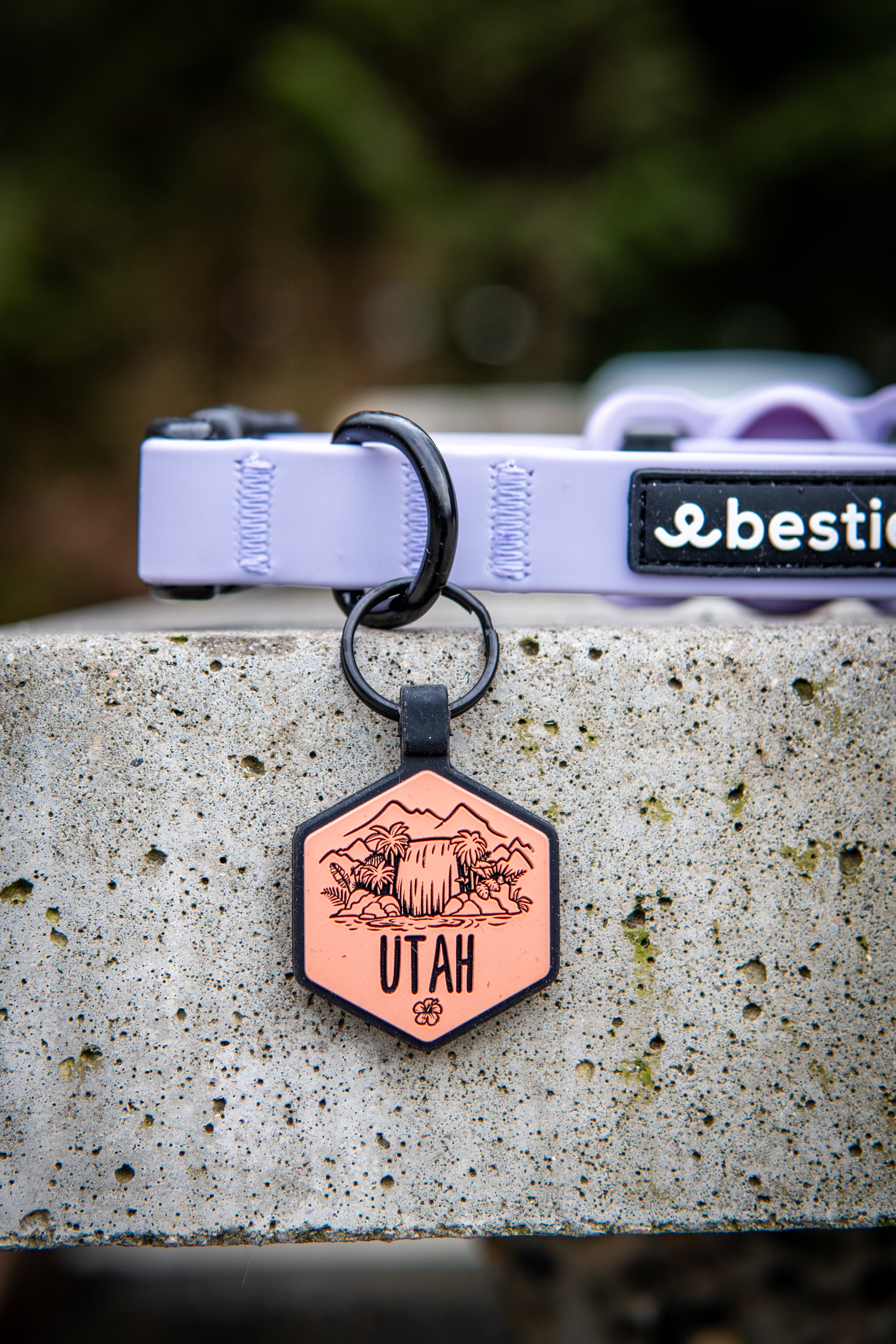 Shop Silicone Pet Tags | Besties Pets