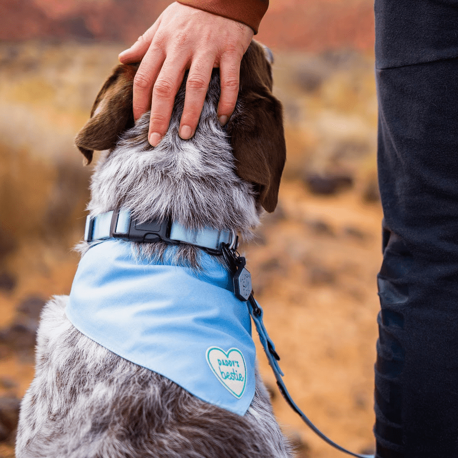 Daddy’s Bestie Patch – Iron-On Badge for Dog Dads Best Friend | Besties