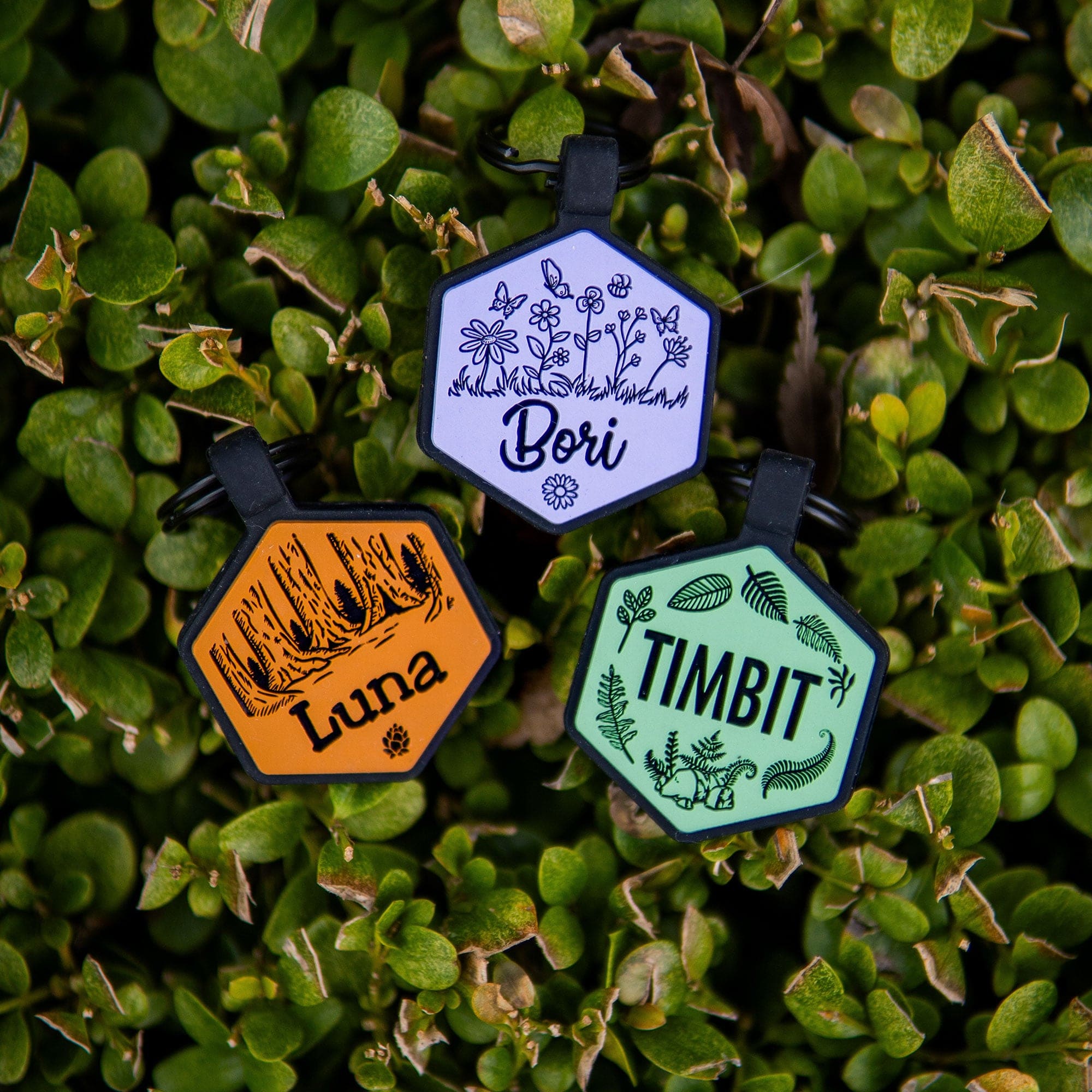 Shop Silicone Pet Tags | Besties Pets