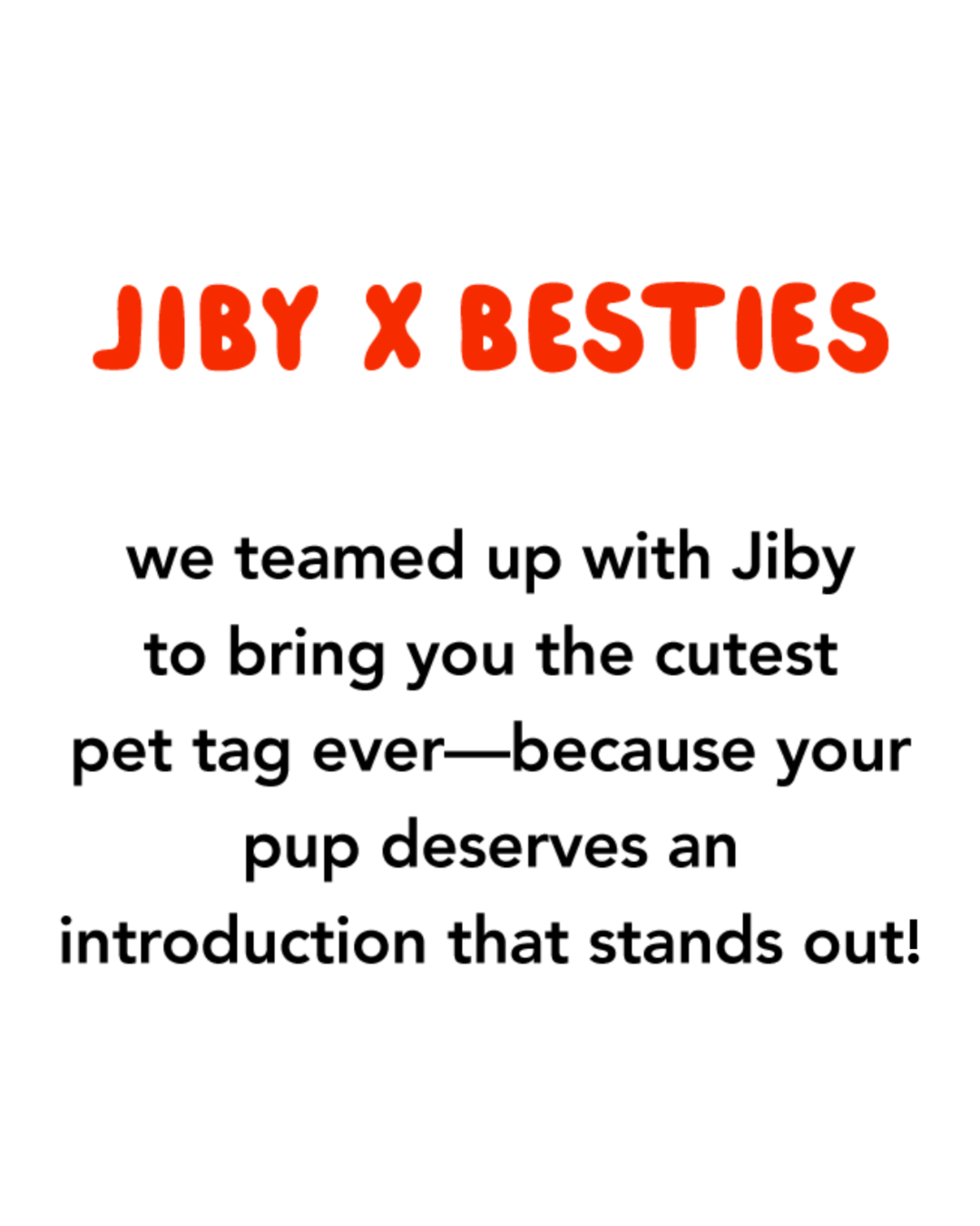 Shop Silicone Pet Tags | Besties Pets