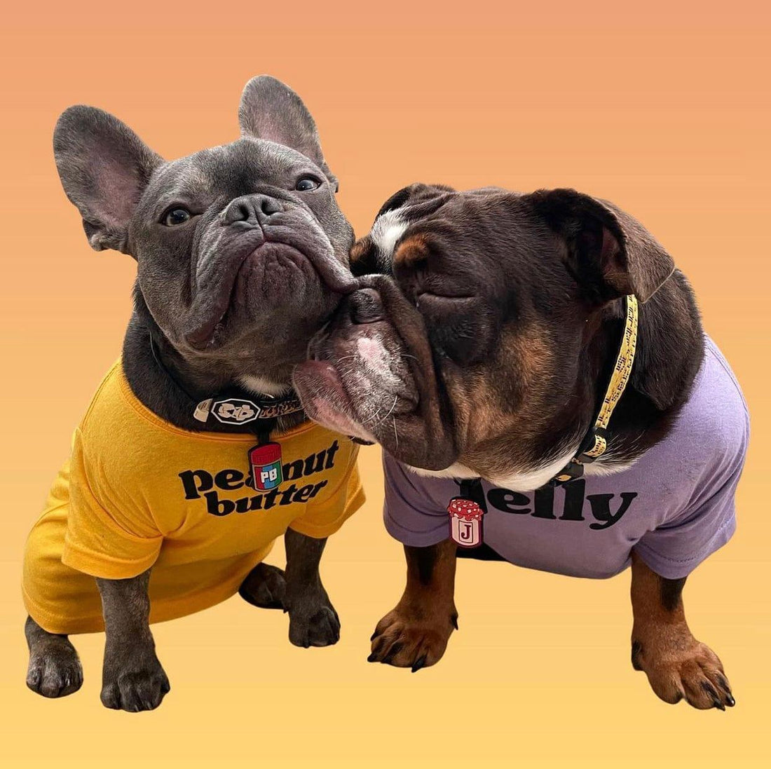 Shop Silicone Pet Tags | Besties Pets